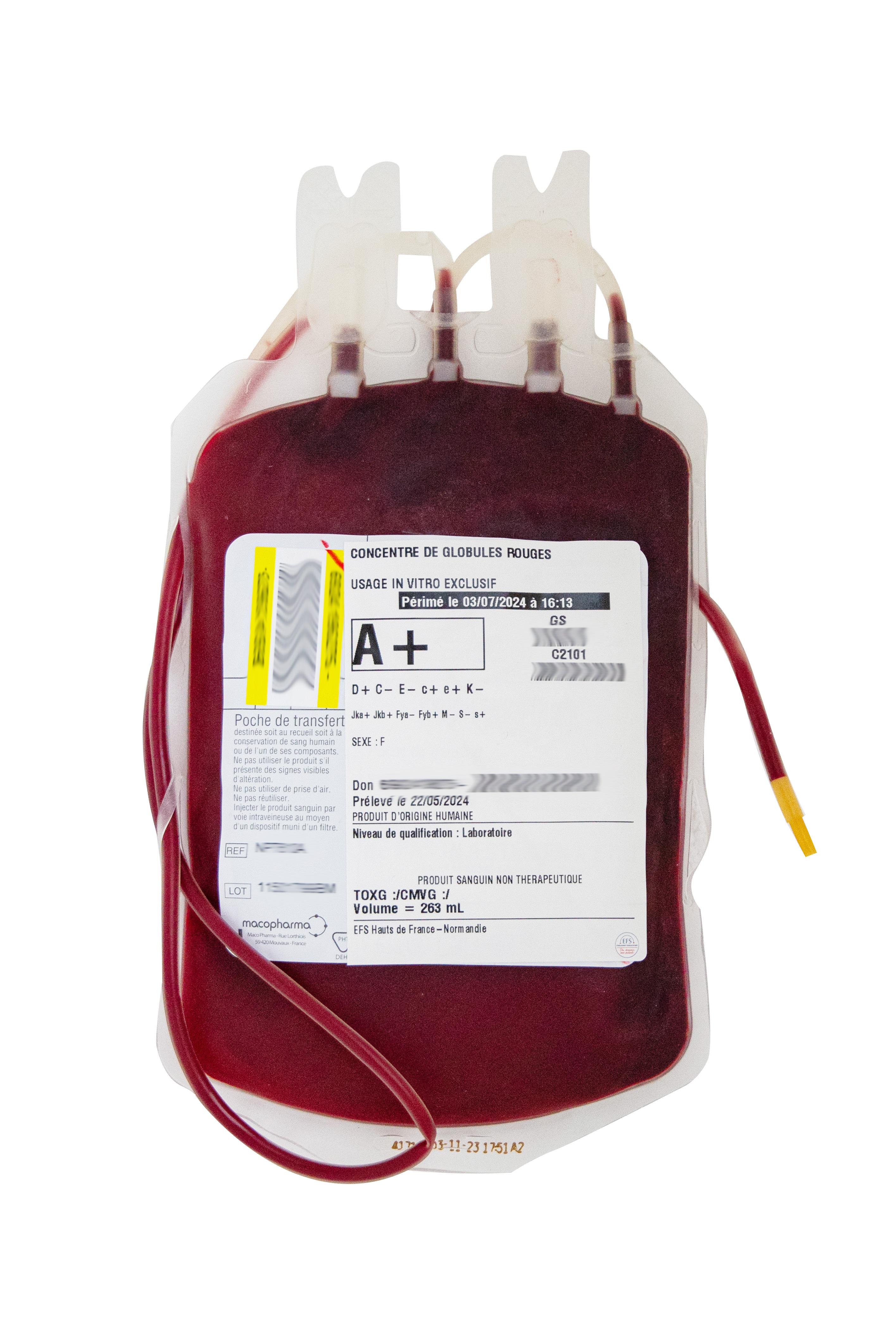 Concentré de globules rouges (CGR) | Établissement français du sang